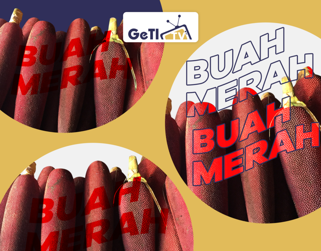Buah Merah Khas Papua Ciptakan Ragam Olahan - GeTI