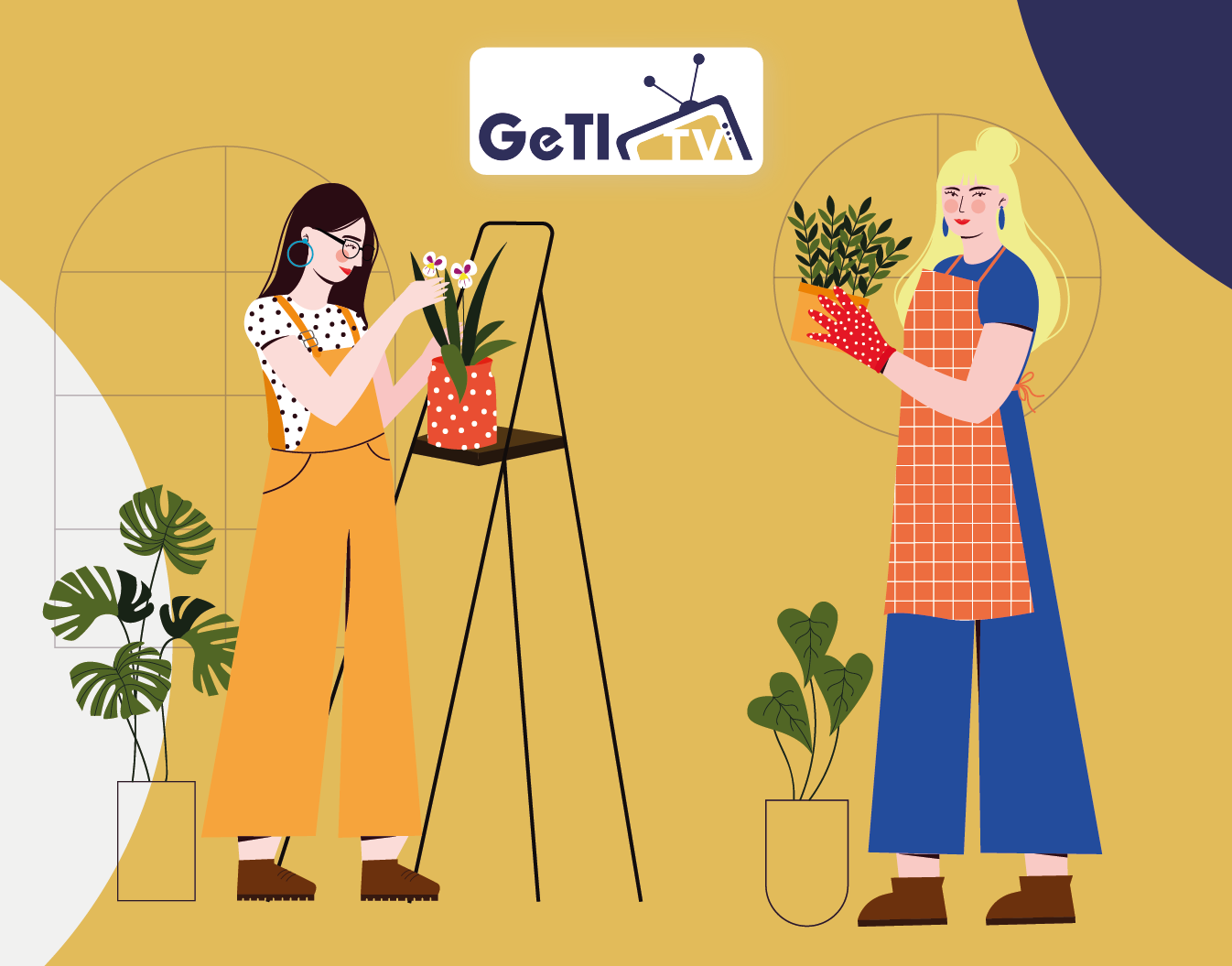 Fungsi Tanaman Hias Tak Sekadar Mempercantik Hunian - GeTI